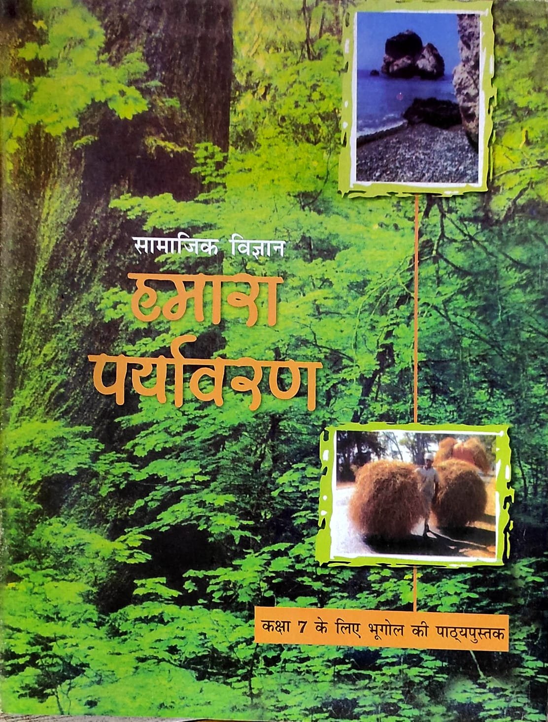 NCERT Hamara Paryavaran For Class 7 In Hindi WishAllBook Online